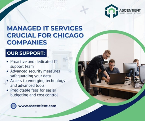 What Makes Managed IT Services Crucial for Chicago Companies - Gifyu